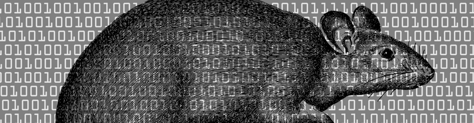 How to spot a digital RAT | Cornwall & Isles of Scilly - Growth Hub