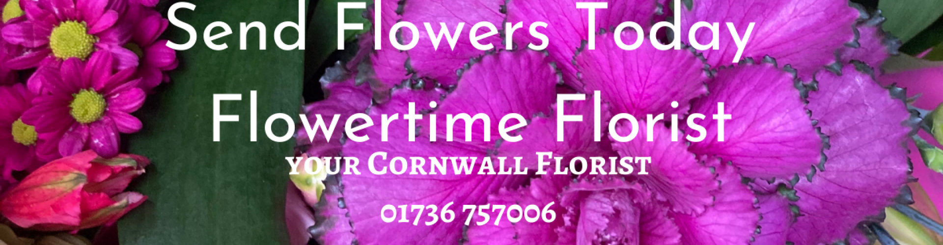 Flowertime Florist @ The Big Pink Tree | Cornwall & Isles of Scilly ...
