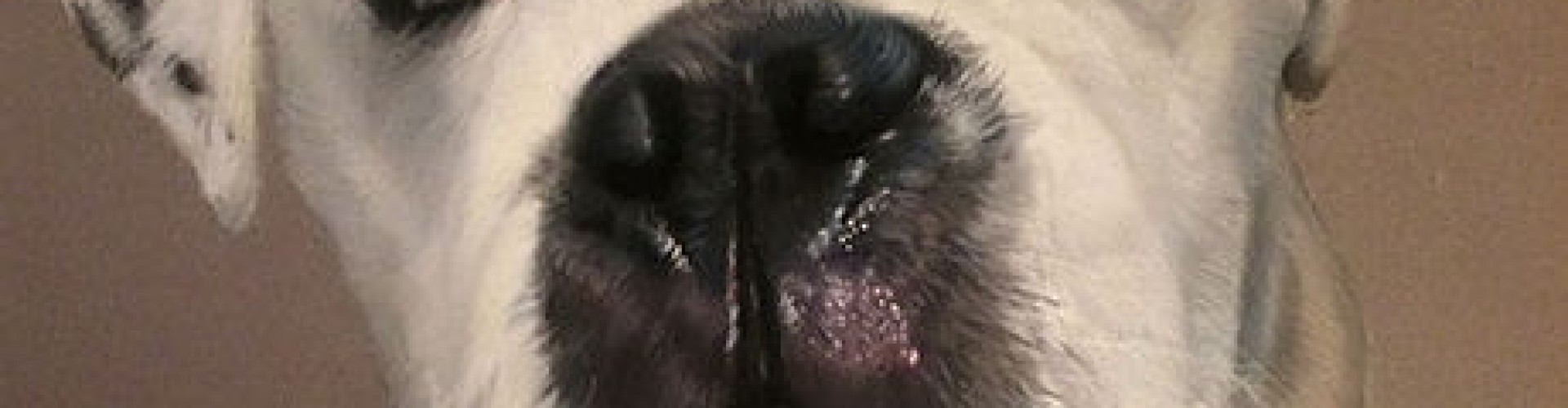 Mandy Jackson Portraits | Cornwall & Isles of Scilly - Growth Hub