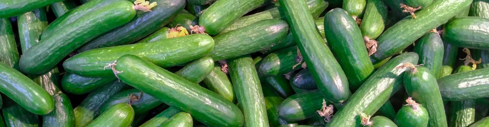 New trading scheme cuts tariffs on hundreds of everyday products ...