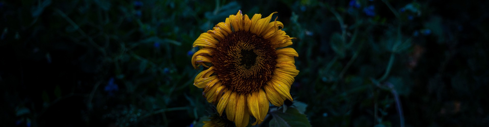 Record high inflation presents biggest threat to business growth ...