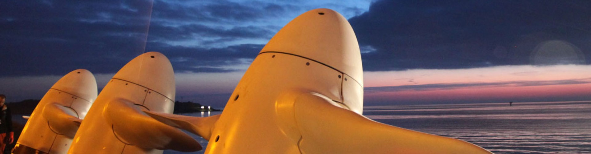 Inyanga Marine Energy Group launches crowdfunding round for its ...