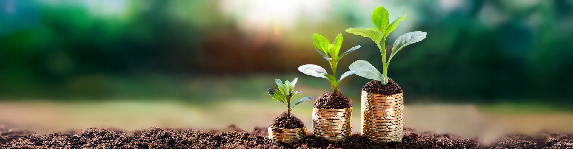 Good Growth Programme on track to deliver huge benefits | Cornwall ...